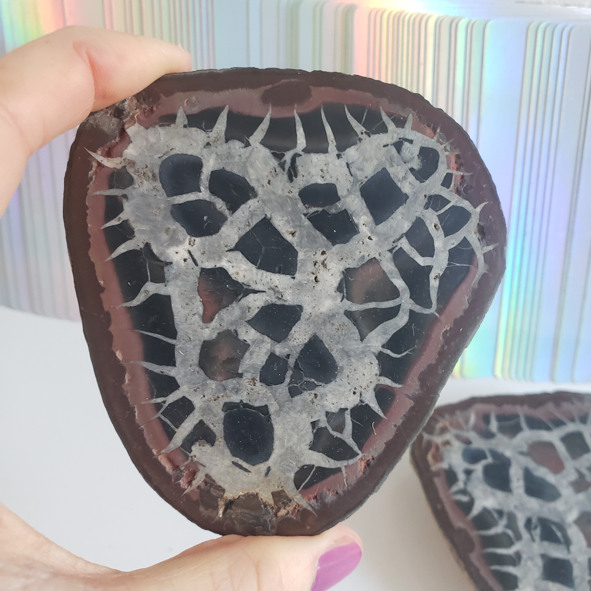 Energy Crystals - Hematite Botryoidal Pieces